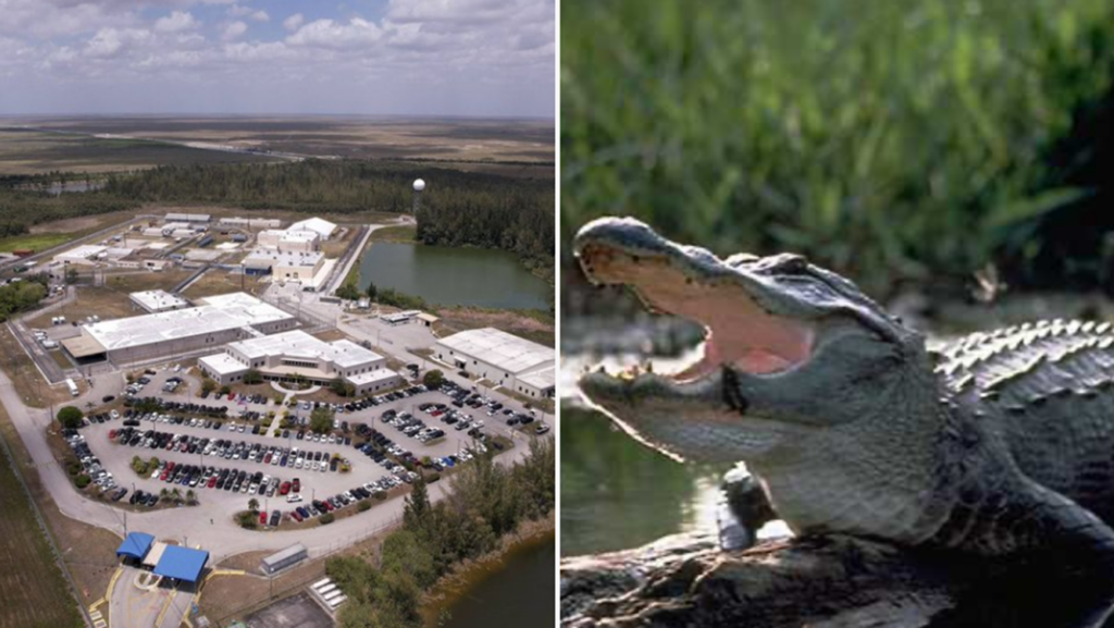 La Floride construit une prison extrême pour migrants : entourée d ...