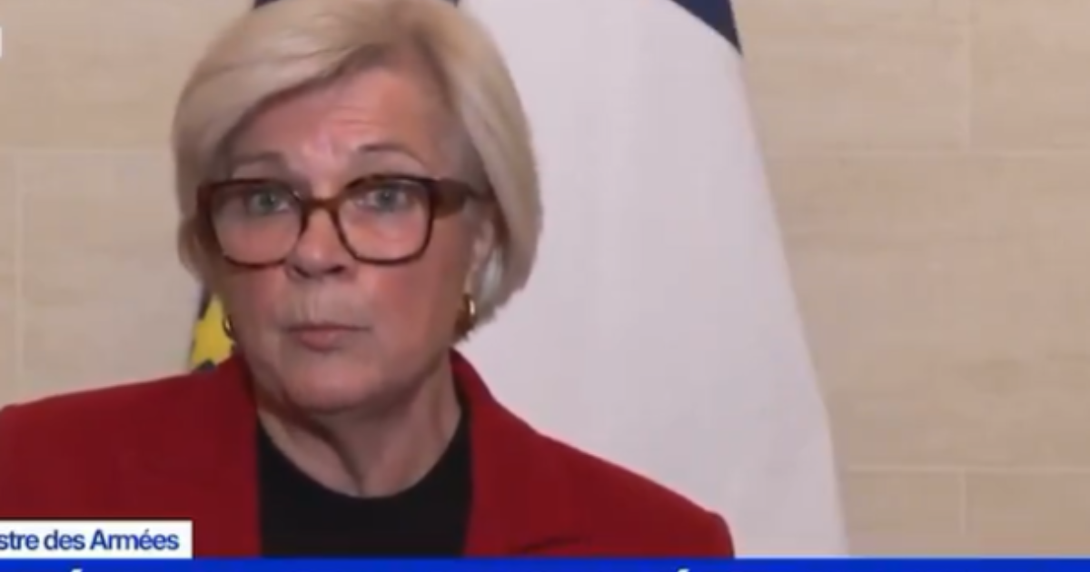 Ministre des Armées : « Nuire à la France » ? Polémique après ses ...